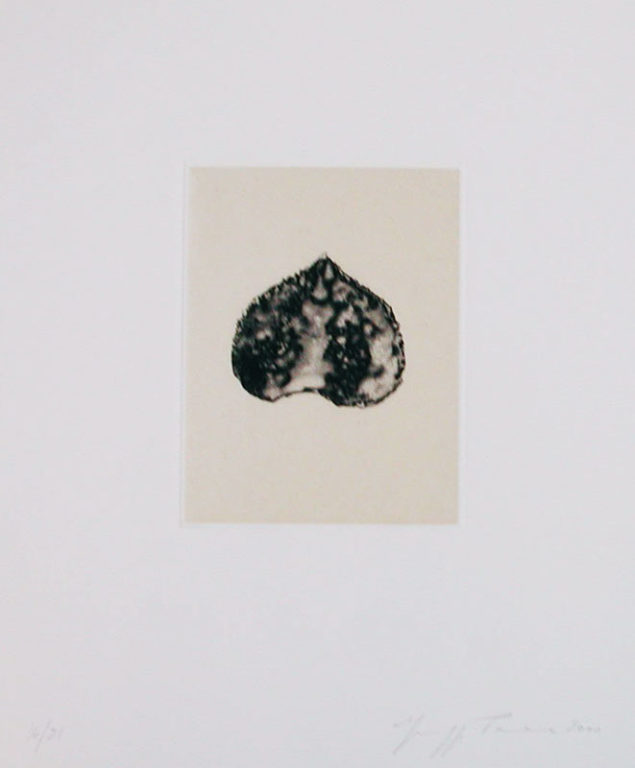 Print Publisher Spotlight:Jacob Samuel | Krakow Witkin Gallery