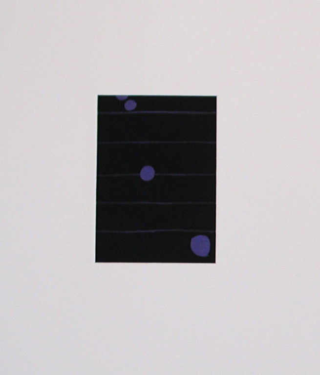 Print Publisher Spotlight:Jacob Samuel | Krakow Witkin Gallery