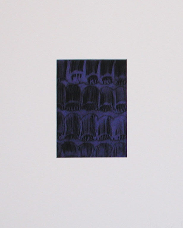 Print Publisher Spotlight:Jacob Samuel | Krakow Witkin Gallery